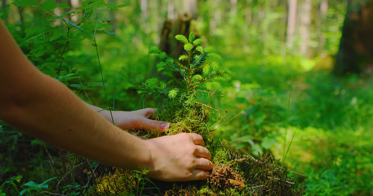 Cuando la sostenibilidad se encuentra con los activos privados ...