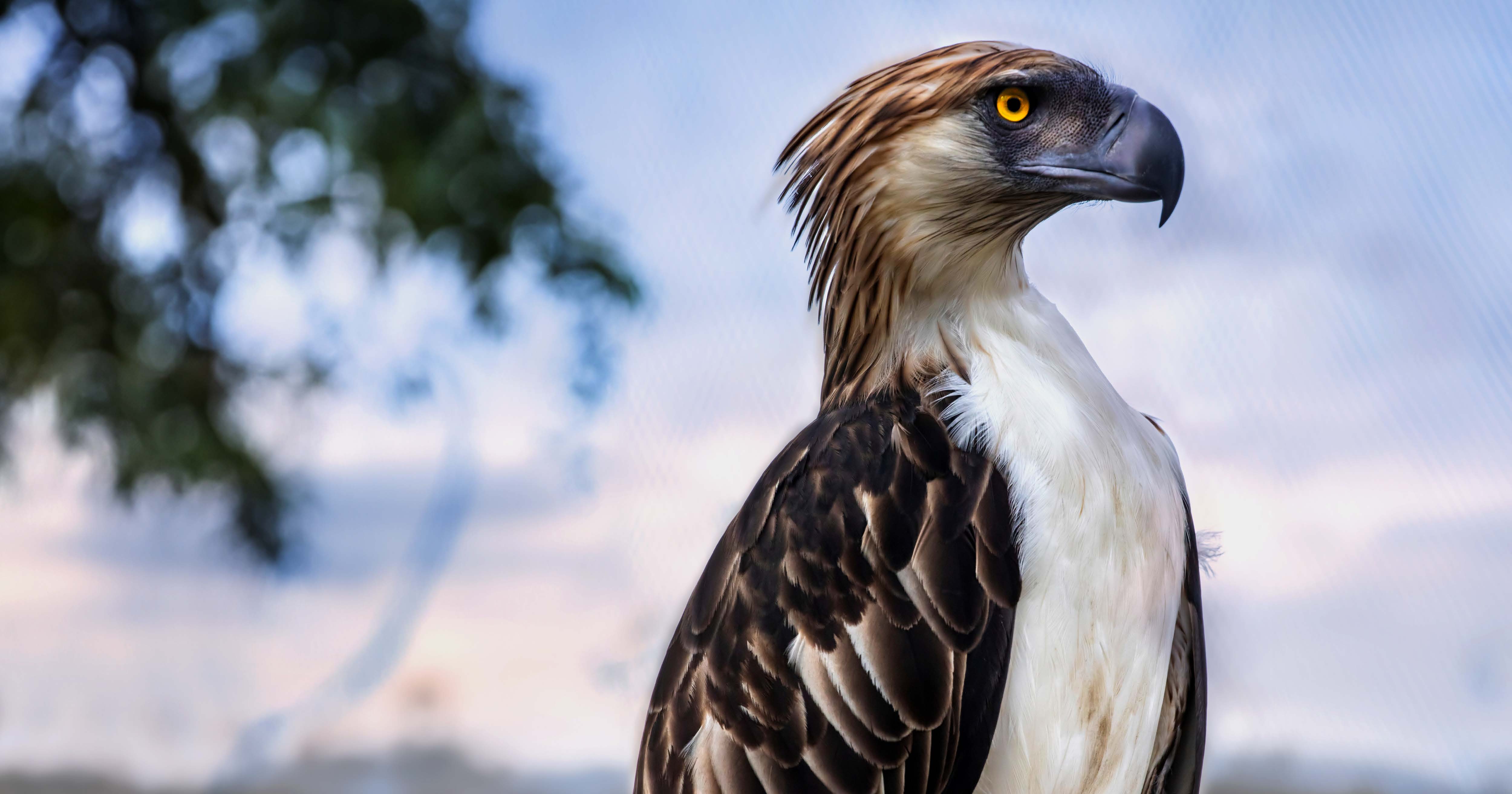 Mirova Global Sustainable Equity fund | Natixis Investment Managers